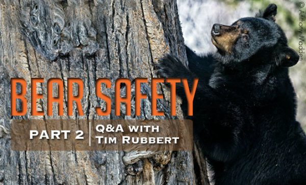 Bear Safety Q&A with an Expert in Bear Safety | Fish Alaska Magazine