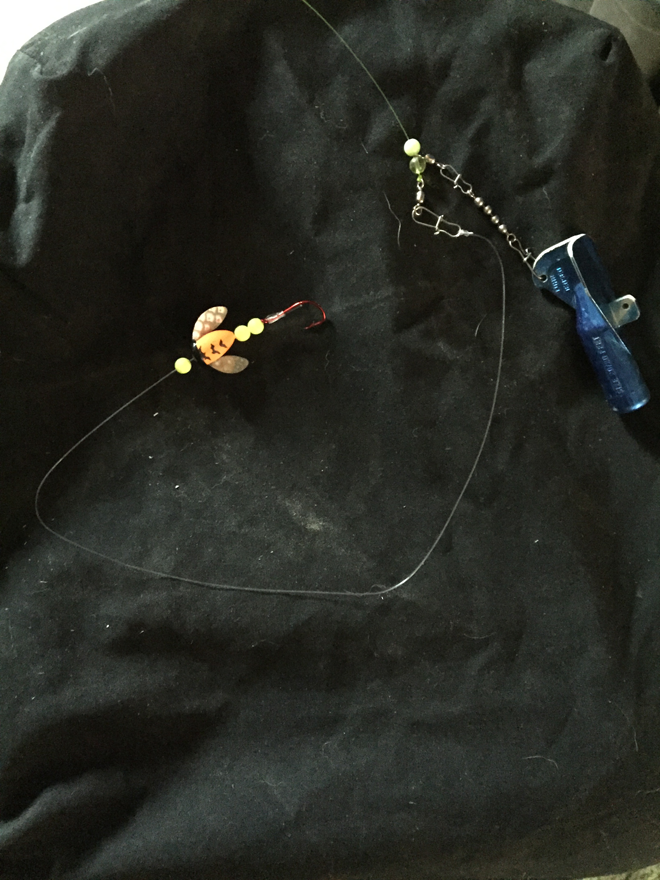 Back Trolling Setups for Alaska Salmon Fishing | Alaska Fishing Blog ...