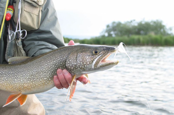 Fairbanks, Alaska Lake Trout Fishing | Destination Articles | Fish ...