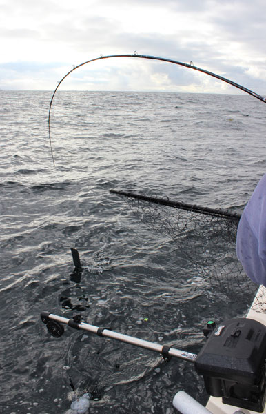 How to Catch Silvers in the Saltwater | Salmon Articles | Fish Alaska ...