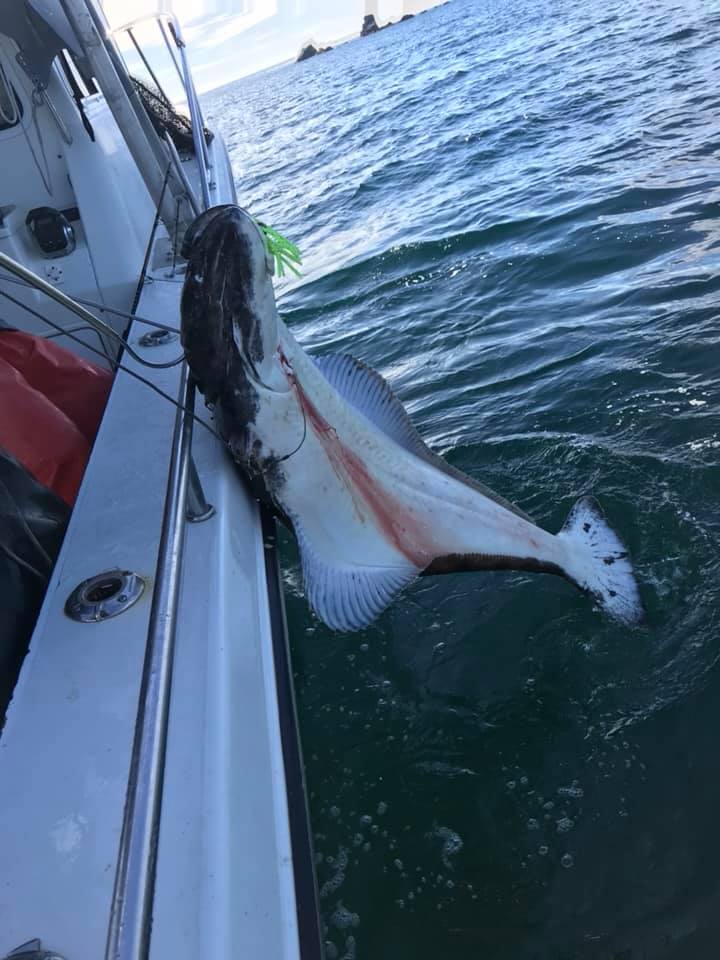 Kodiak Island Fishing Report 2018 - Fish Alaska Magazine