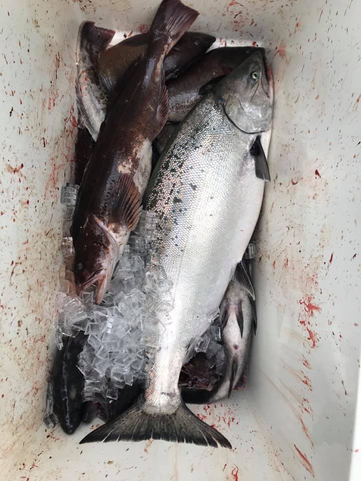 Kodiak Island Fishing Report 2018 - Fish Alaska Magazine