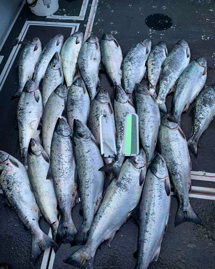 Kenai Peninsula Fishing Reports 2019 | Fish Alaska Magazine