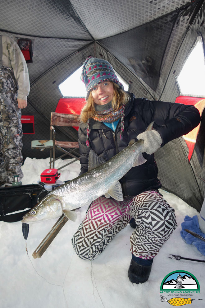 Ice Fishing for Sheefish: World Record Fun - Fish Alaska Magazine