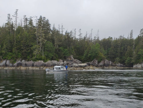 Fish Baranof: Sitka DIY: Sitka DIY Kings and 'Buts - Fish Alaska Magazine