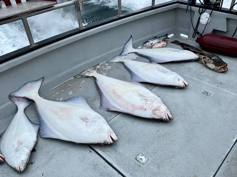 Whittier, Alaska Fishing Report 2021 | Fish Alaska Magazine