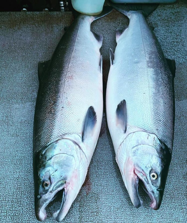 Togiak River, Alaska Fishing Report 2021 - Fish Alaska Magazine