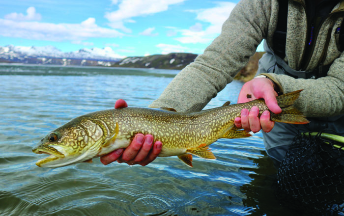 The Western Native Trout Challenge in Alaska - Fish Alaska Magazine