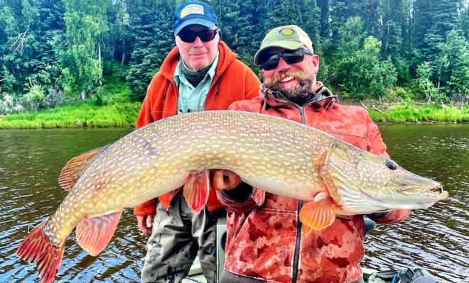 Pike Fishing on the Holitna River - Fish Alaska Magazine