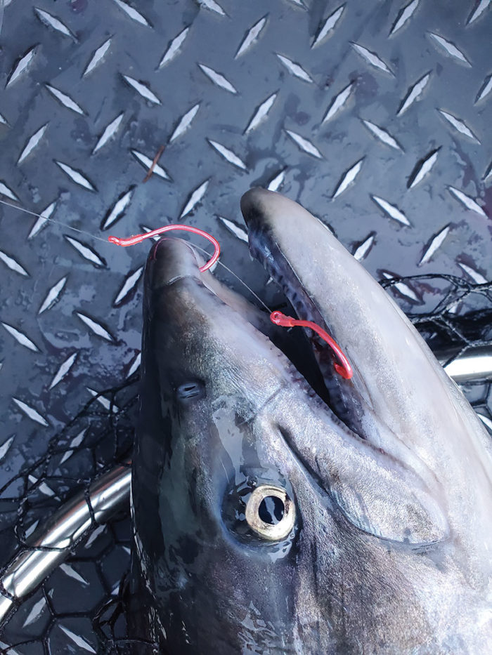 Best Alaskan Fishing Tackle: ECAs 2022 - Fish Alaska Magazine