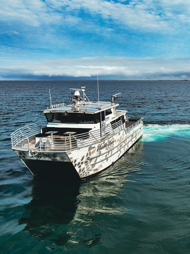 The F/V Double Down by Brix – For Big Dan’s - Fish Alaska Magazine