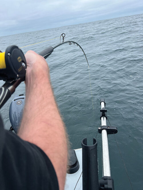 Best Fishing Rods 2023- Fish Alaska Magazine