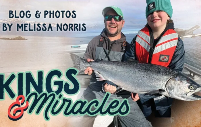 Alaska King Salmon: Fish Alaska Species Guide