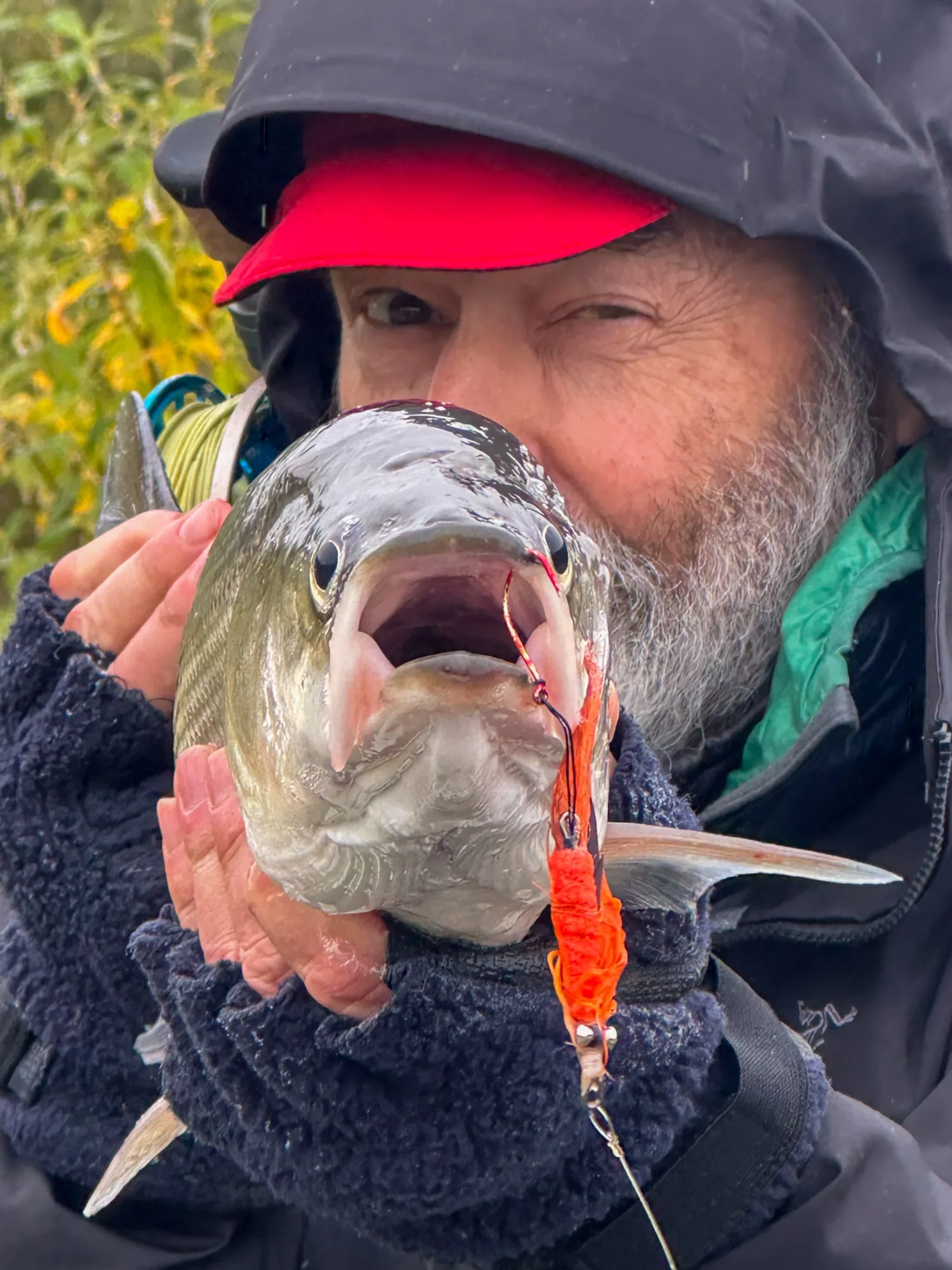 Sheefish - Fish Alaska Magazine